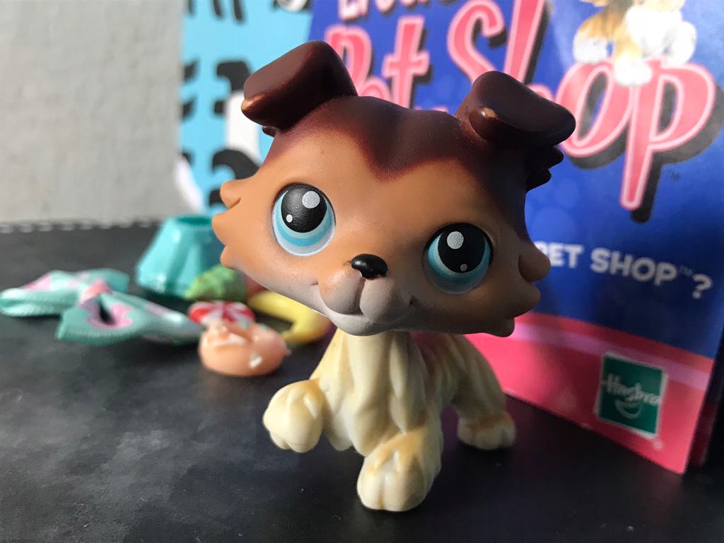 Littlest Pet Shop Collie Sage #58 Oryginalny LPS ! - 7478783111 ...