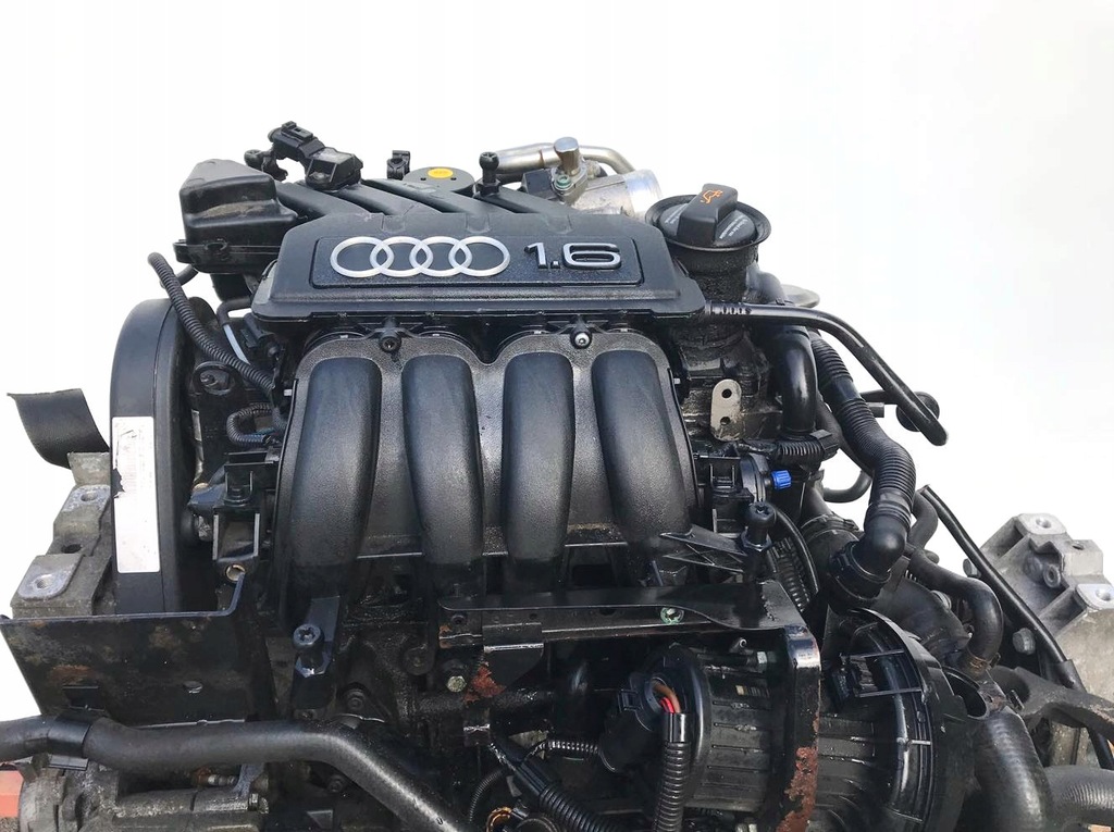 SILNIK 1.6 BGU AUDI VW SEAT SKODA 102KM film!! - 7636352000 - oficjalne ...