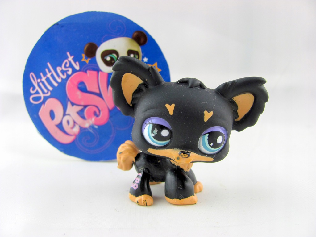 LPS Littlest pet shop chihuahua pies # 1571 UNIKAT - 7656178746 ...