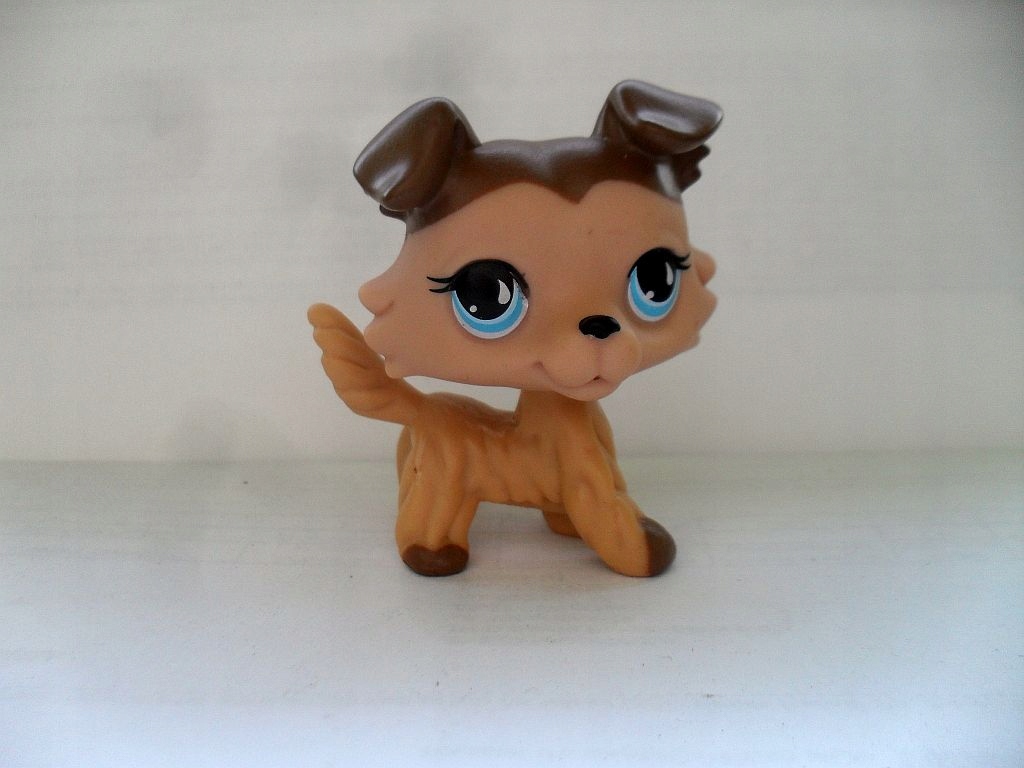 LITTLEST PET SHOP LPS 893 BRĄZOWY OWCZAREK COLLIE - 7656059382 ...