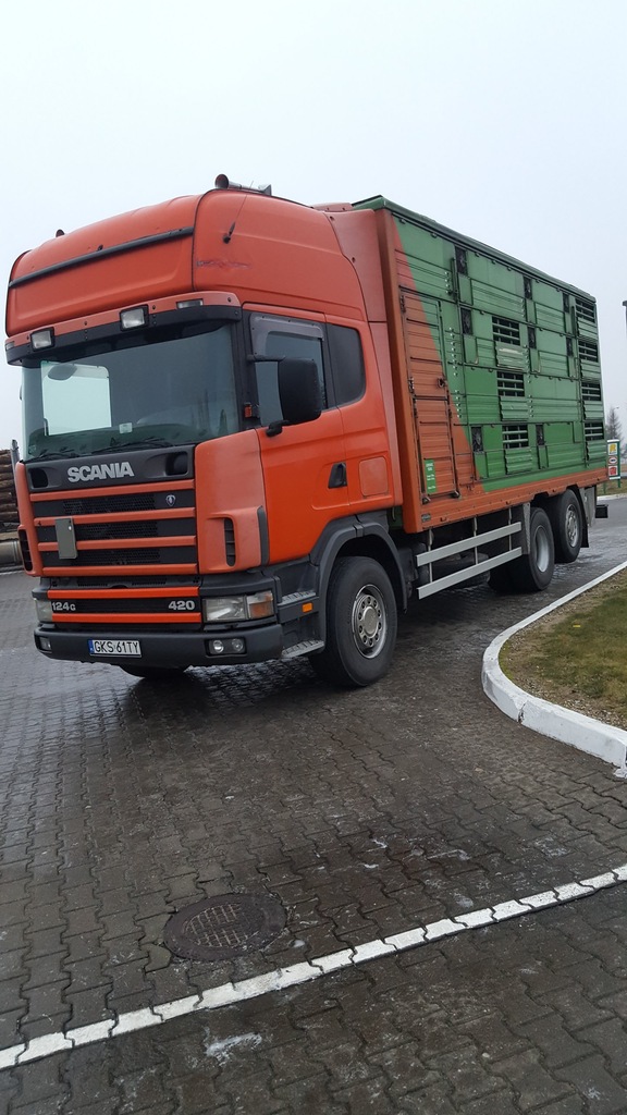 Scania do żywca do przewozu zwierząt - 7136602830 - oficjalne archiwum ...